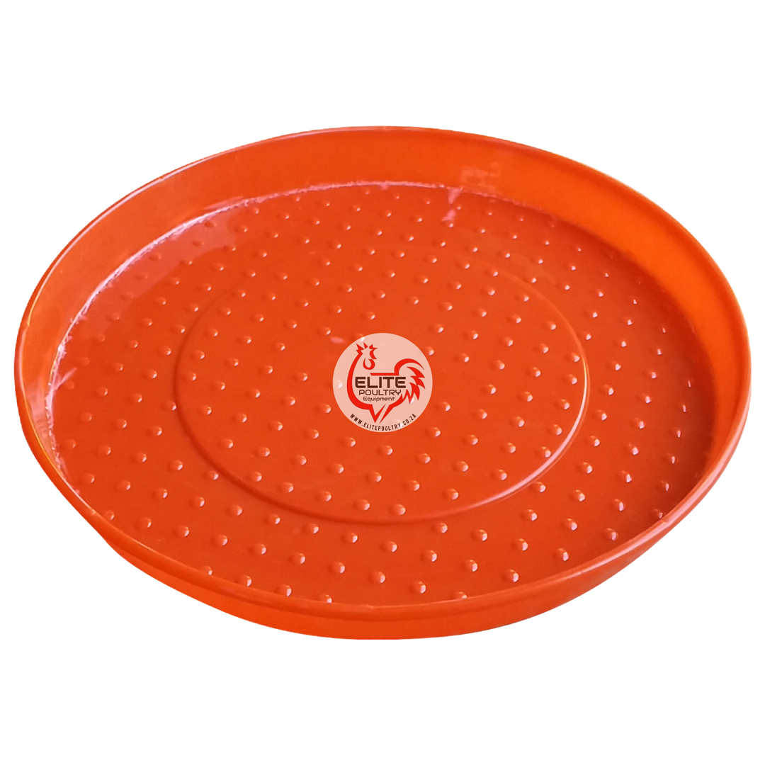 Scratch Feeder Pan for Chicks – Elitepoultry